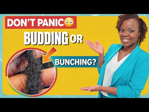 Is This Budding or Bunching? Don’t Panic—Here’s What’s Normal | Sisterlocs | Microlocs 