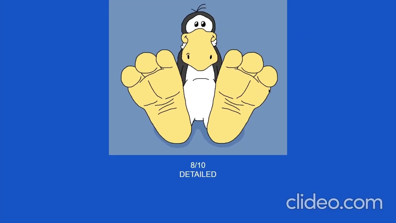 Top 10 PENGUIN FEET YouTube Top 10 PENGUIN FEET YouTube