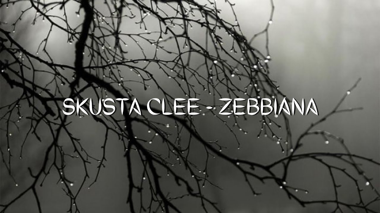 ZEBBIANA LIVE WISH 107.5 ~ SKUSTA CLEE | LIRIK (LYRICS) TERJEMAHAN ...