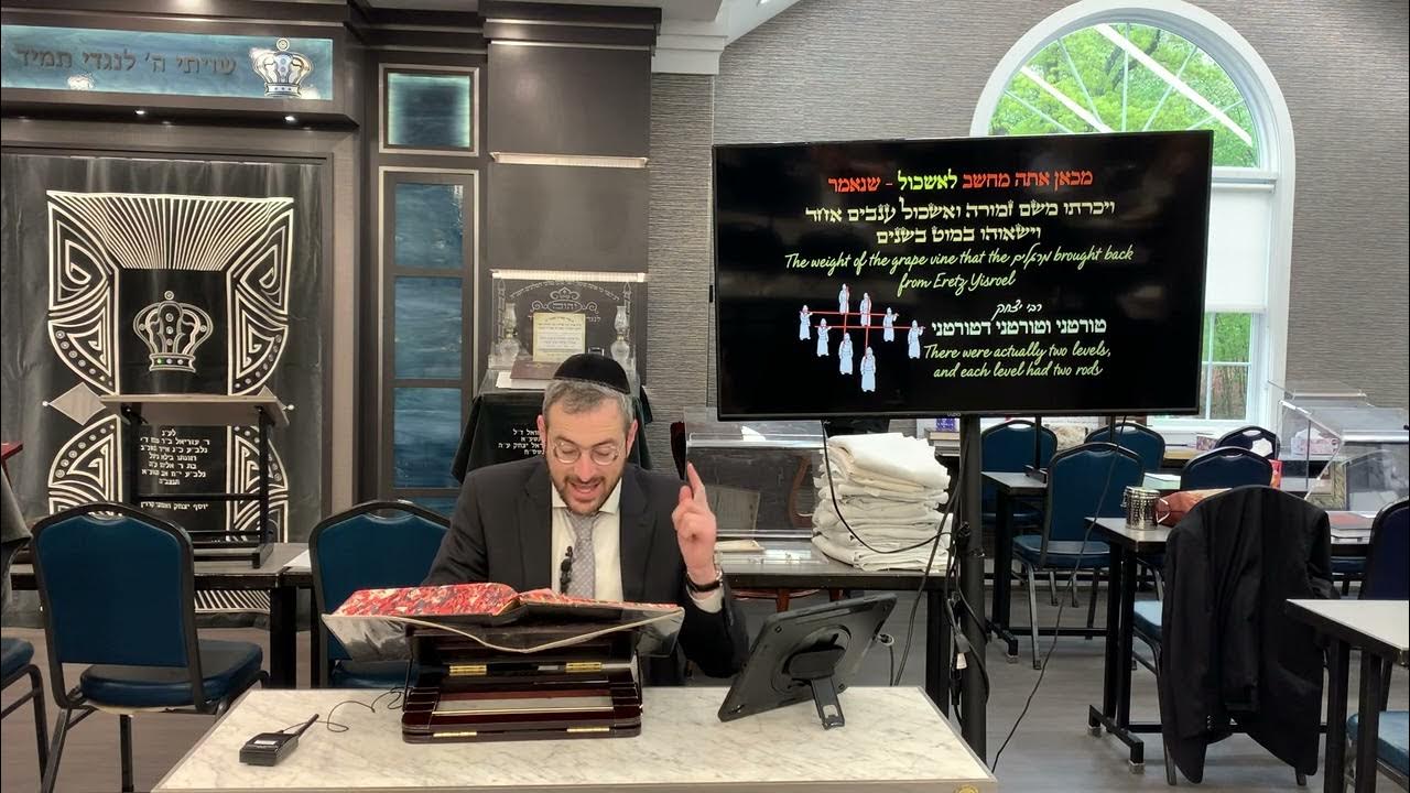 Sotah Daf 34 - Daily Daf by Rabbi Shloimy Schwartzberg - שיעור דף יומי - מסכת סוטה דף ל״ד - YouTube