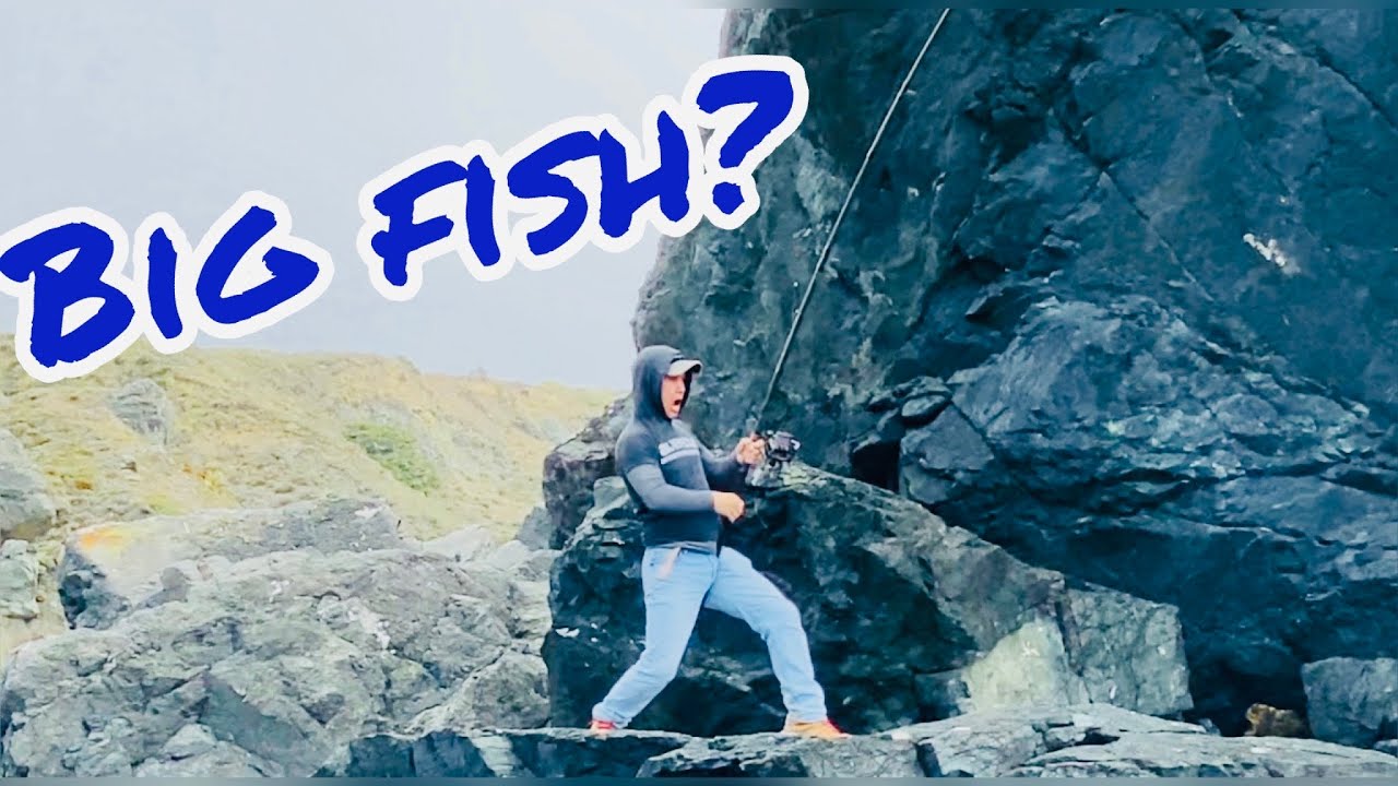 Looking for new spot and big fish, First Attempt. Multiple species ...