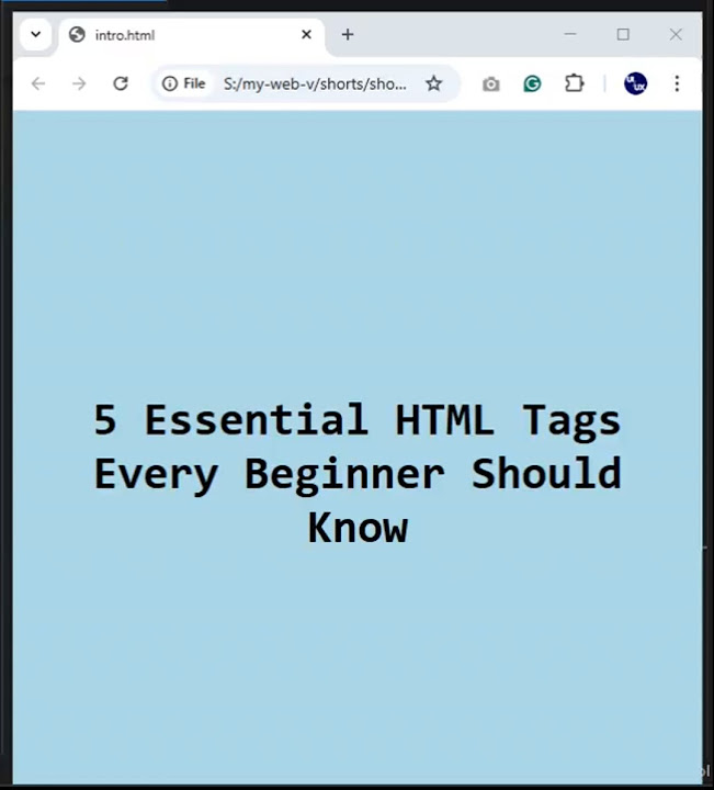 5 Essential HTML Tags Every Beginner Must Know! | HTML Basics Tutorial |#cssanimation - YouTube
