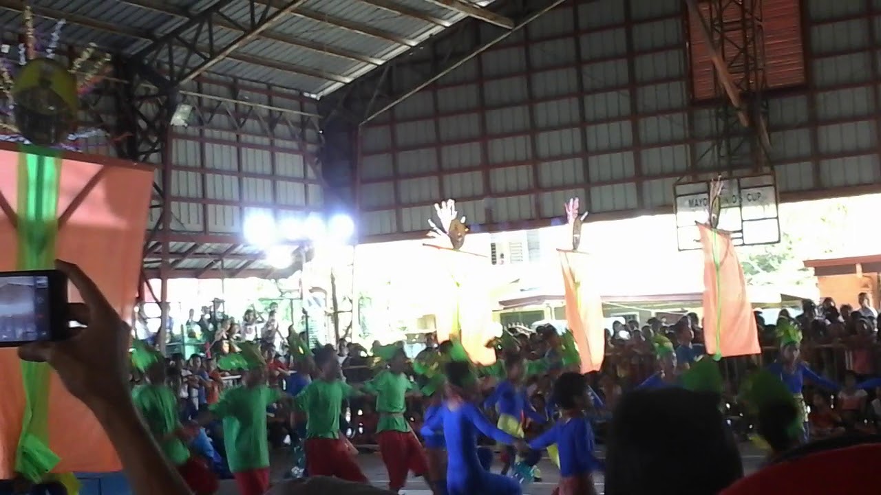 Mardicas,, festival, tnw,nhs - YouTube