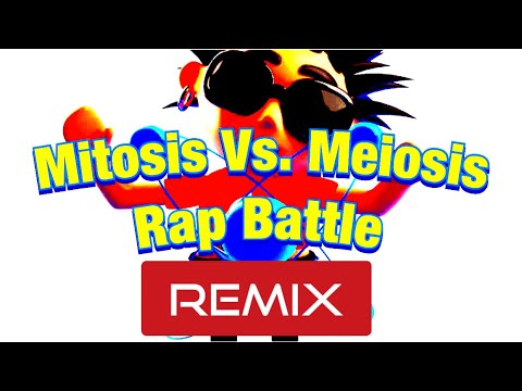 Mitosis vs. Meiosis Rap Battle Remix - YouTube