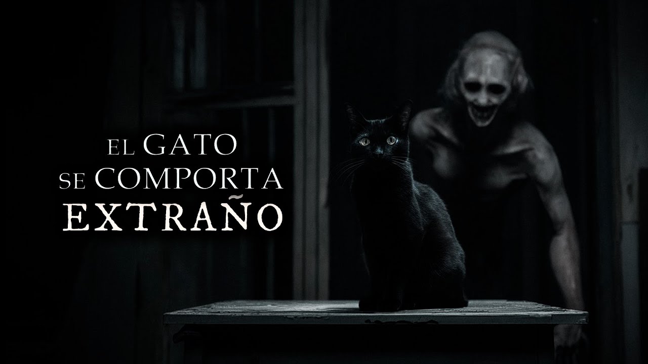 El GATO se comporta EXTRAÑO | Relato de terror PARANORMAL - YouTube