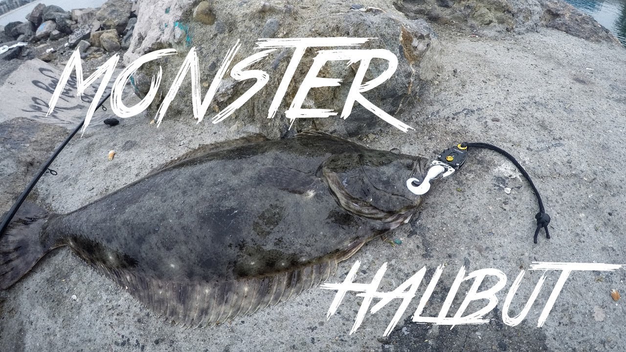 My Halibut Personal Best !!!! Monster Hali Fishing - YouTube