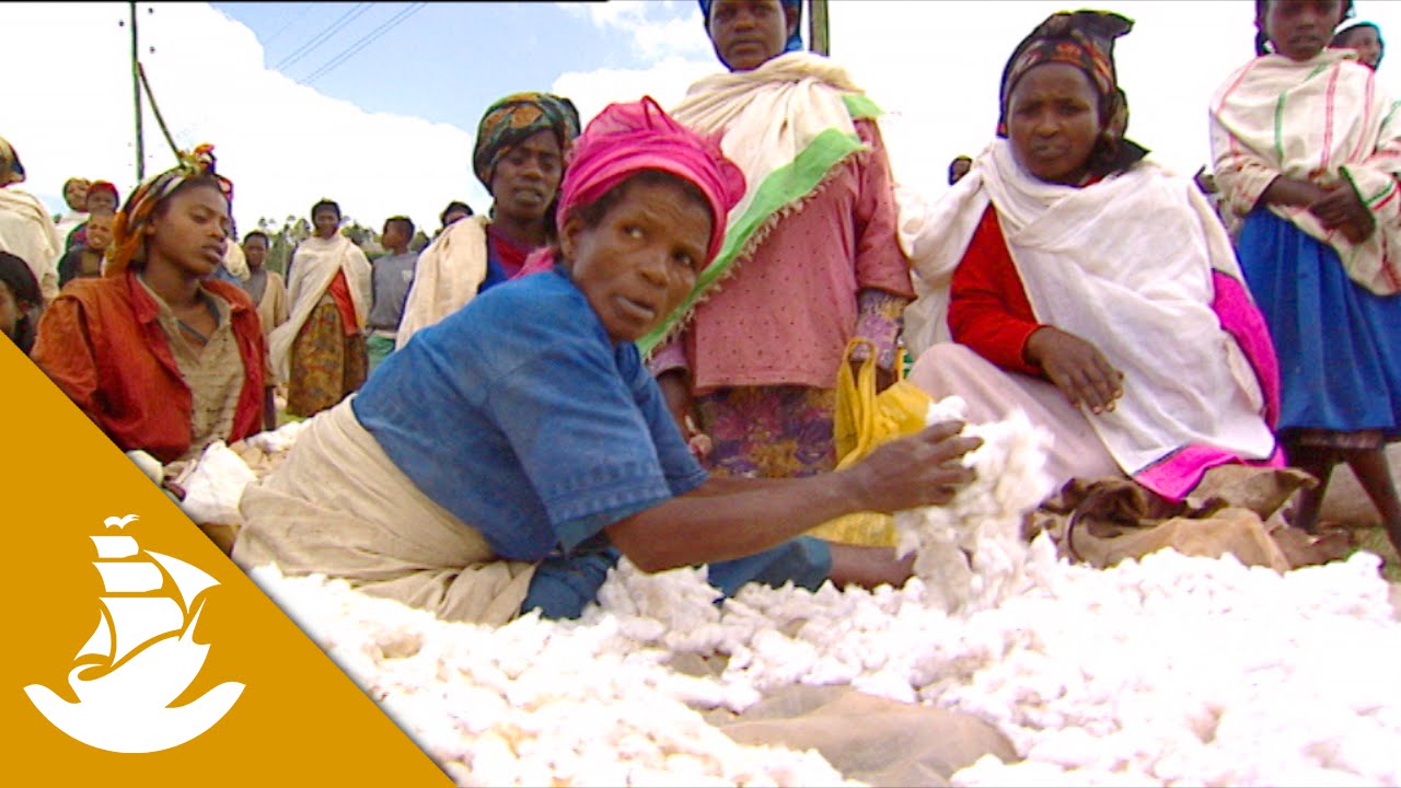 Abyssinians - The mix of races - YouTube