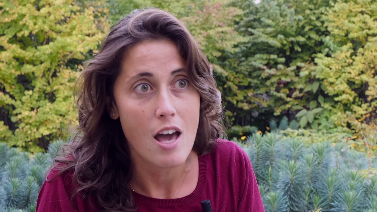 Alice Pisani et l'énergie noire - YouTube