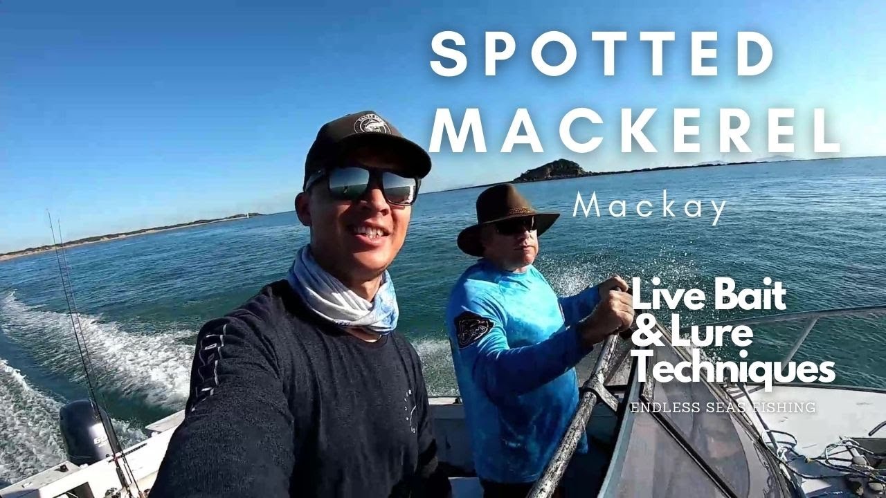 Fishing for Spotted Mackerel around Mackay Harbour with the SPOTTY KING ...