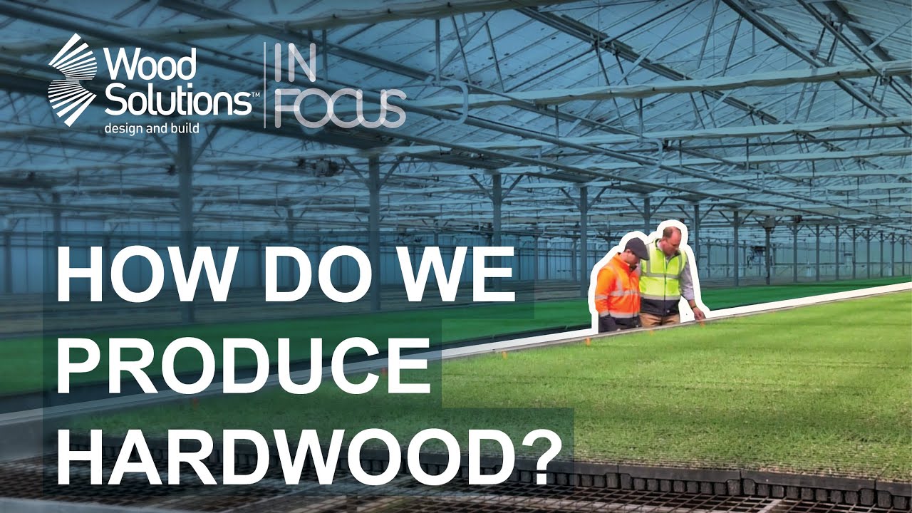 How Do We Produce Hardwood? - YouTube