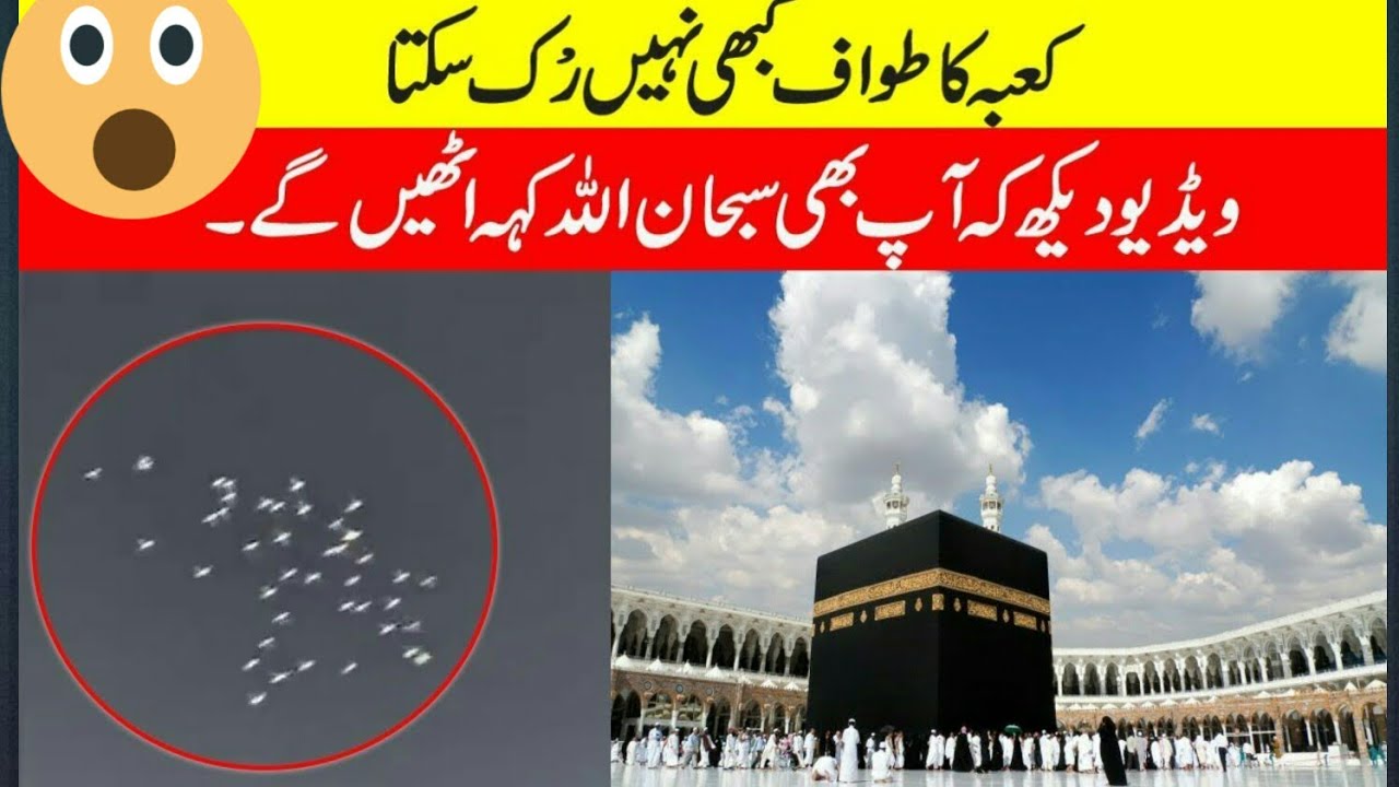 Birds doing Tawaf around Kaaba | birds TAWAF KAABA - YouTube