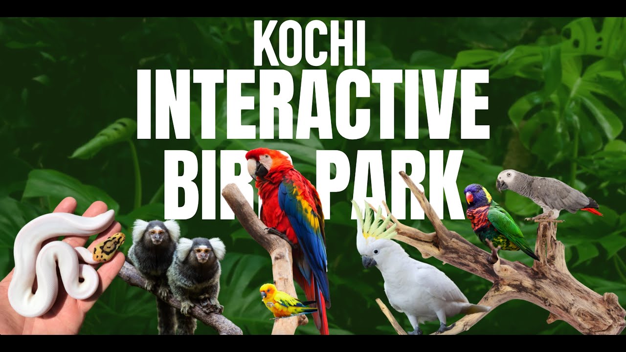 PQ Exotic Birds Park - KOCHI Varapuzha - A Family Visit. - YouTube