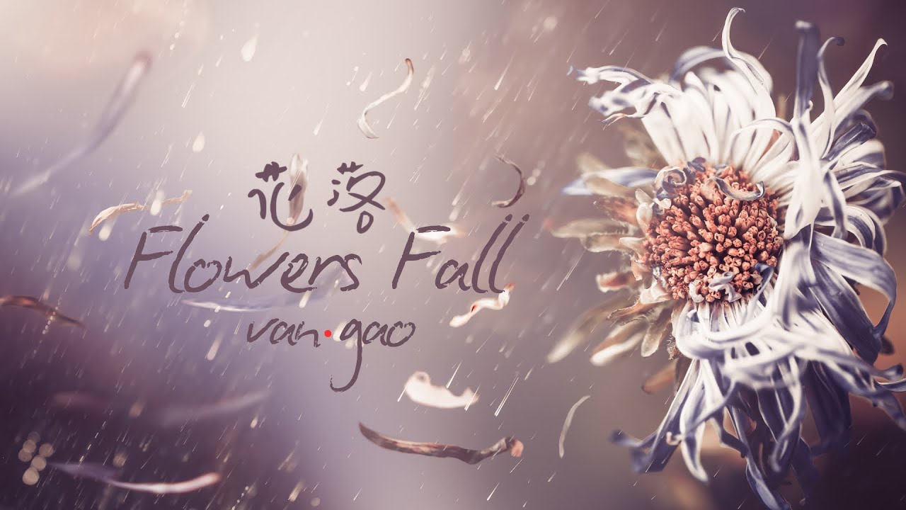Flowers Fall - 1 hour Ambient Music for Relaxation, Deep sleep, Spa ...