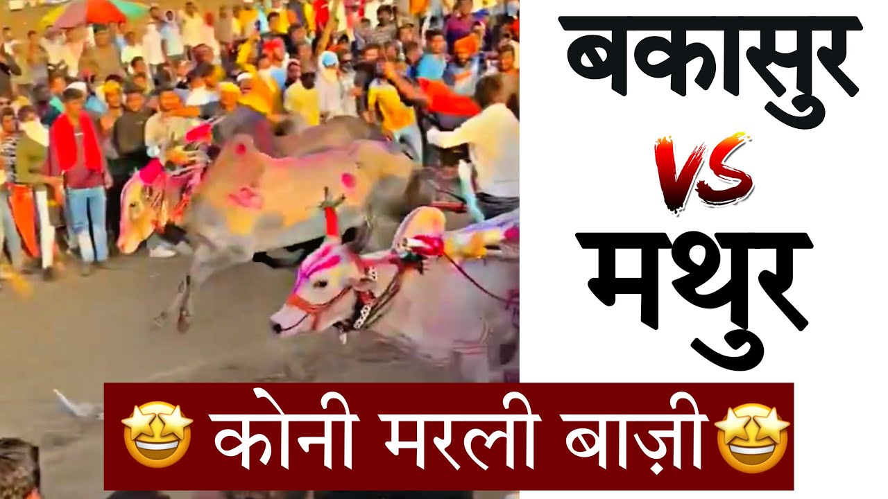 मथुर vs बकासुर, बैलांची सजावट, बैल पोळा सजावट, Mathur vs Bakasur - YouTube