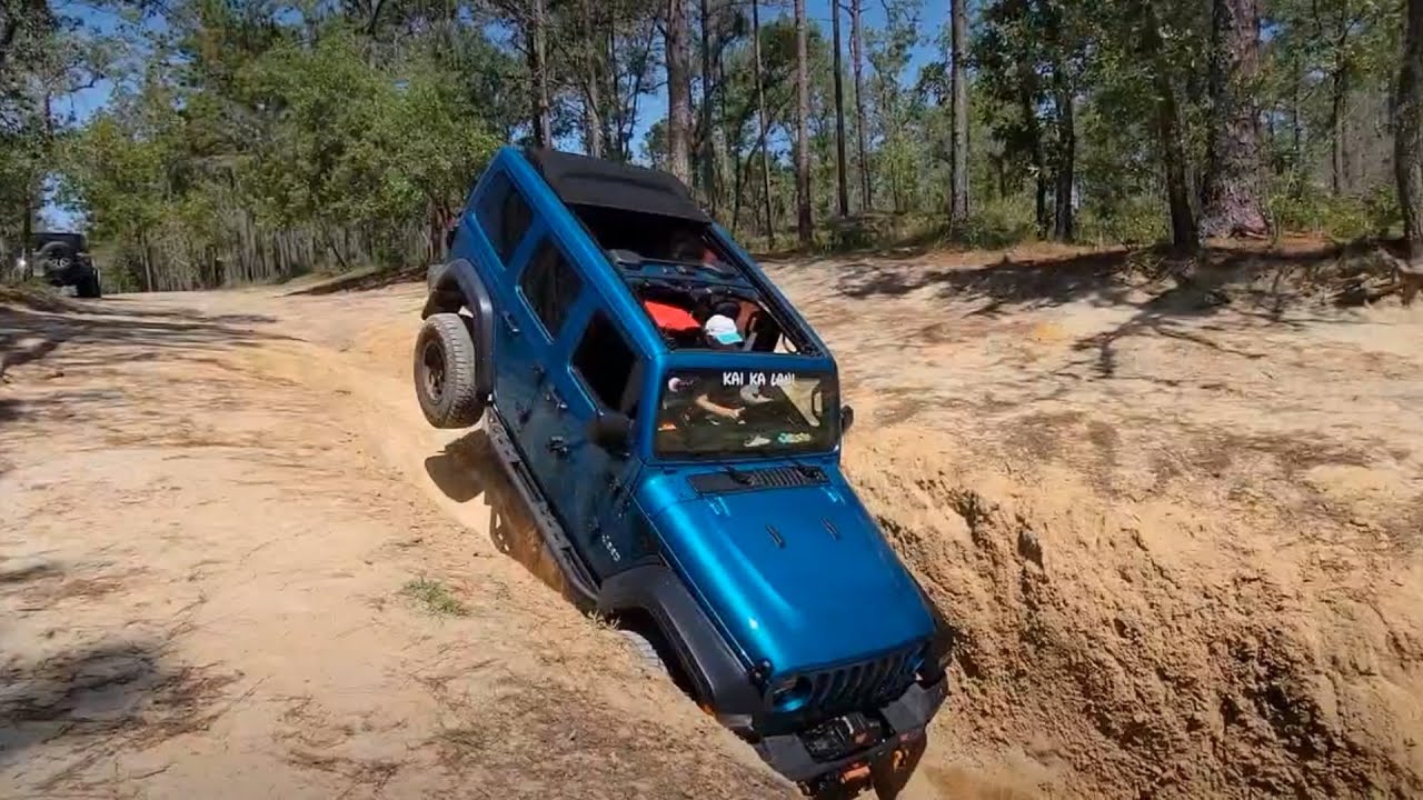 We Take an Interesting Ride Through Citrus Wildlife Management Area ...