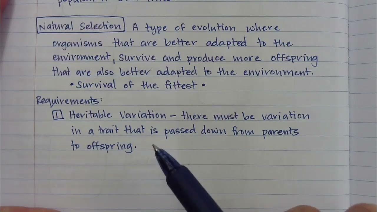 Natural Selection Notes - YouTube