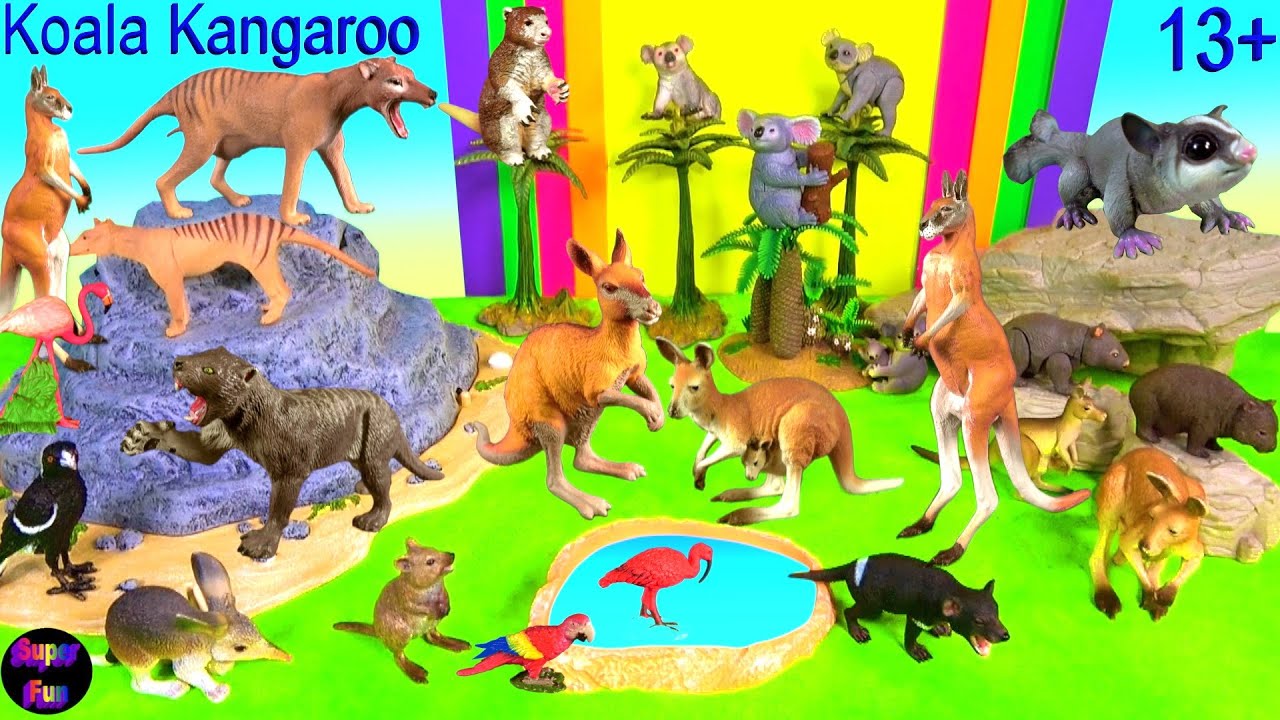Zoo Animals - Kangaroo, Koala, Wombat, Marsupial Lion, Tasmanian Tiger ...