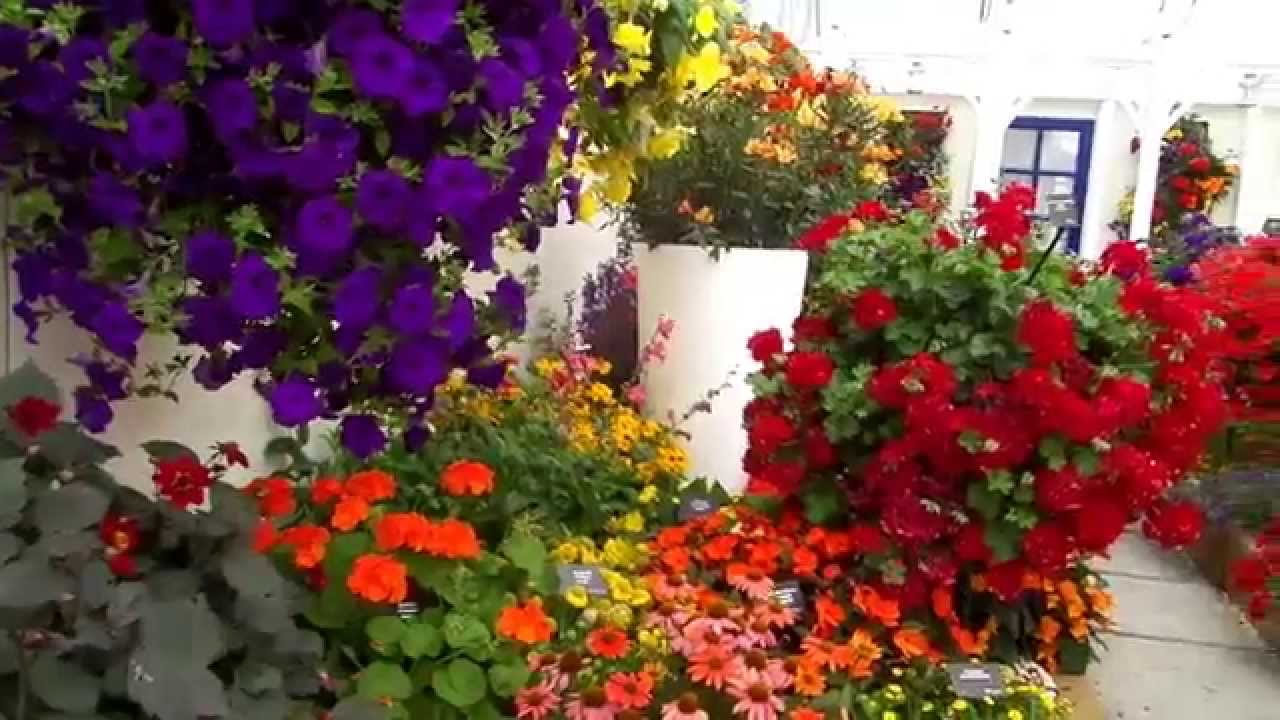 Ball Colegrave 2014 - YouTube