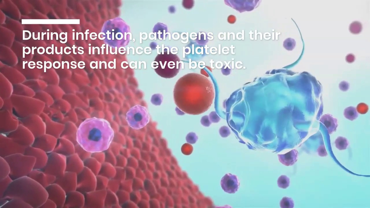 A Generic Large-Scale Cause for Platelet Dysfunction and Depletion in ...