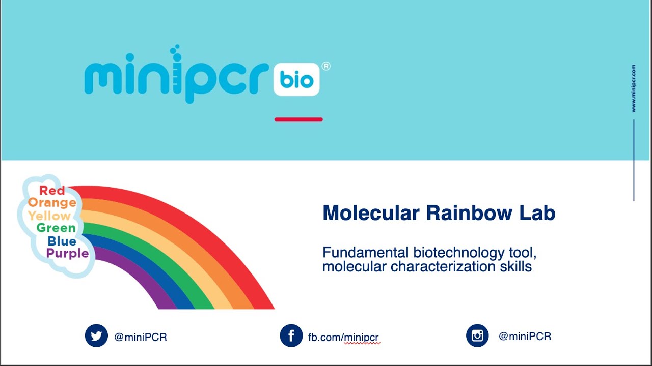 Molecular Rainbow Lab Webinar - YouTube