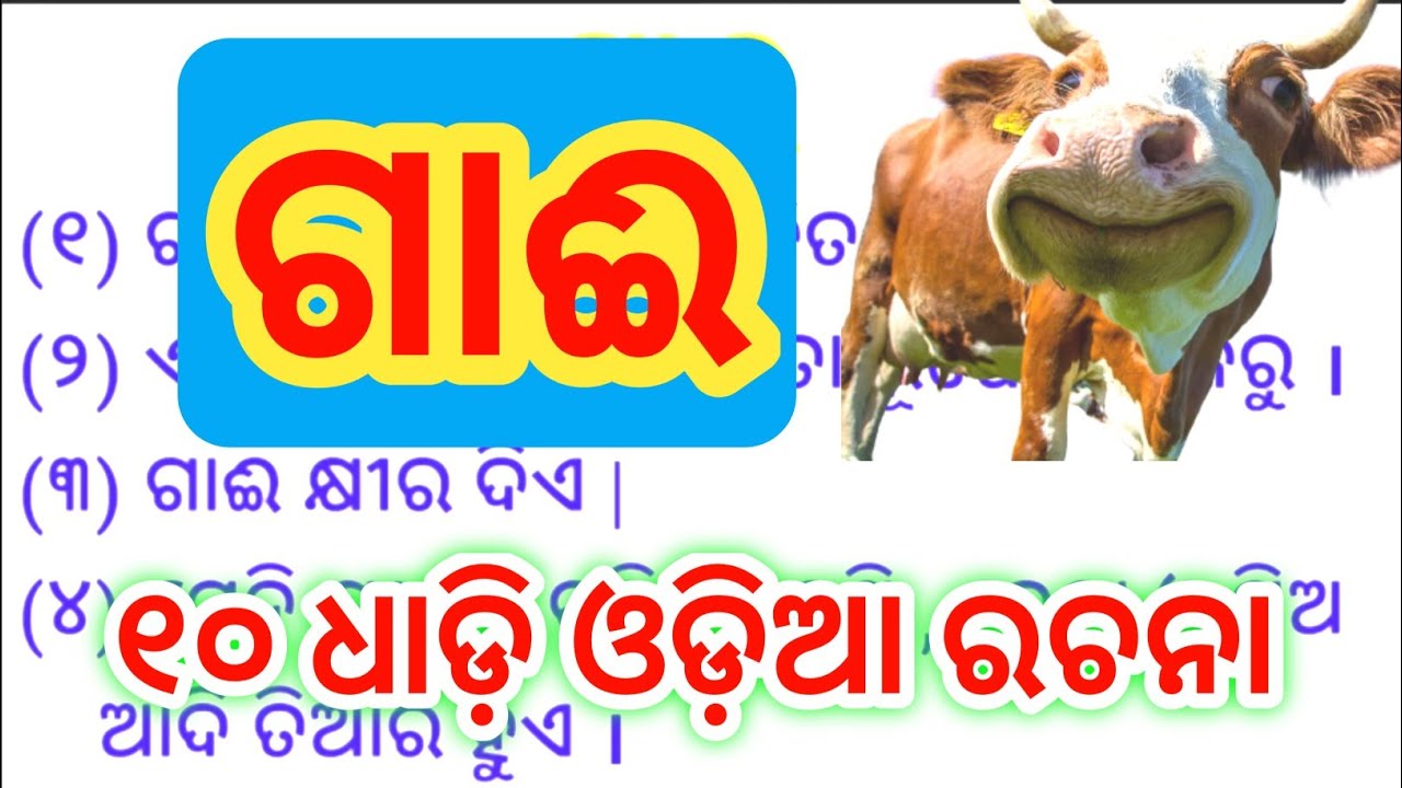 ଓଡ଼ିଆ ରଚନା ଗାଈ // the cow essay 10 lines odia // odia rachana the cow ...