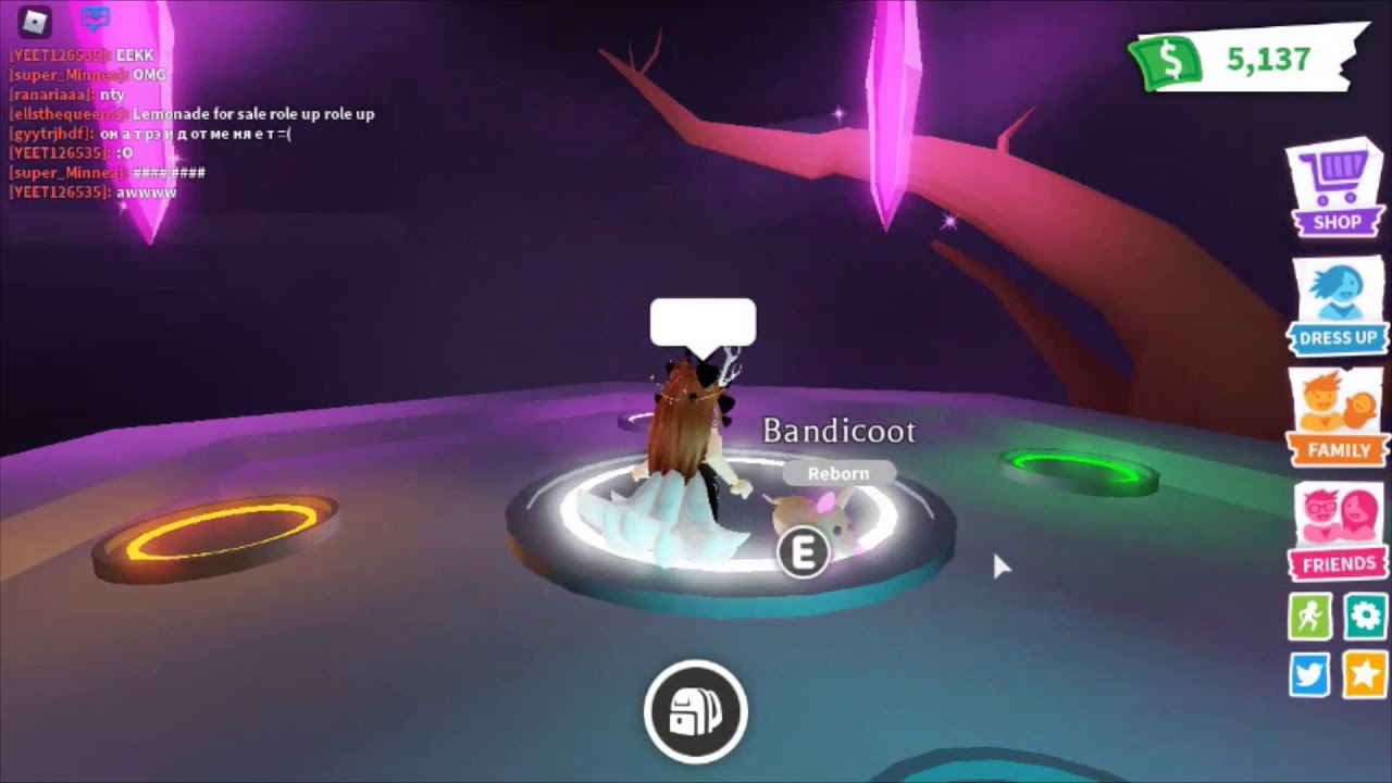 Making A Neon Bandicoot Adopt Me! - YouTube