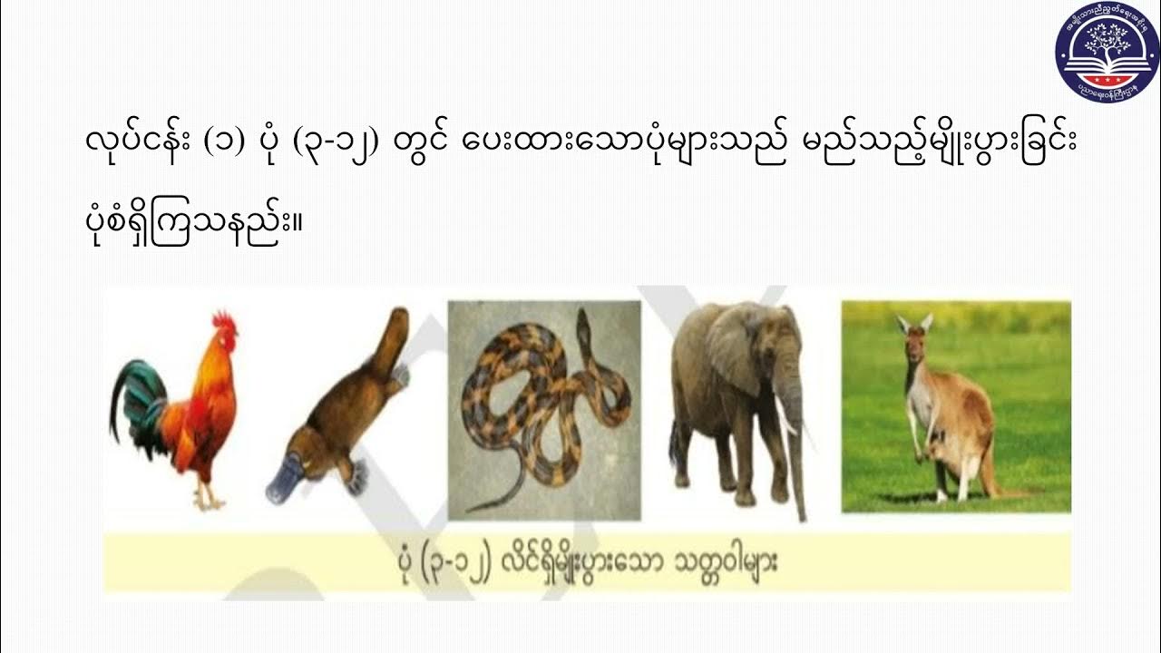 Grade7 အထွေထွေသိပ္ပံ၊ အခန်း ၃ မျိုးပွားခြင်း အပိုင်း ၅ သတ္တဝါများမျိုးပွားခြင်းနှင့်ဘဝစက်ဝန်း စာ