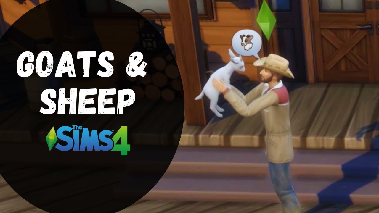 How to Buy Mini Goats & Sheep - The Sims 4 - YouTube
