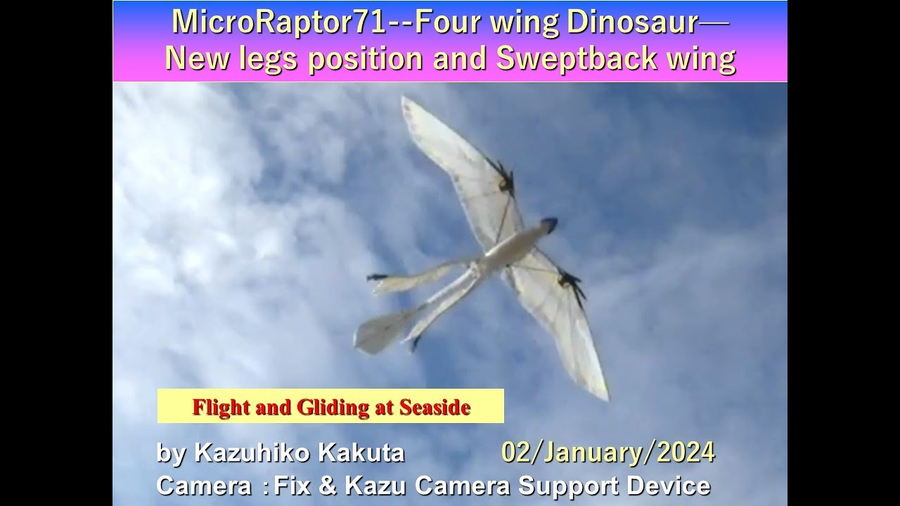 4枚の翼を持つ恐竜の羽ばたき機 MicroRaptor71--Four wing Dinosaur-: Flight and Gliding ...