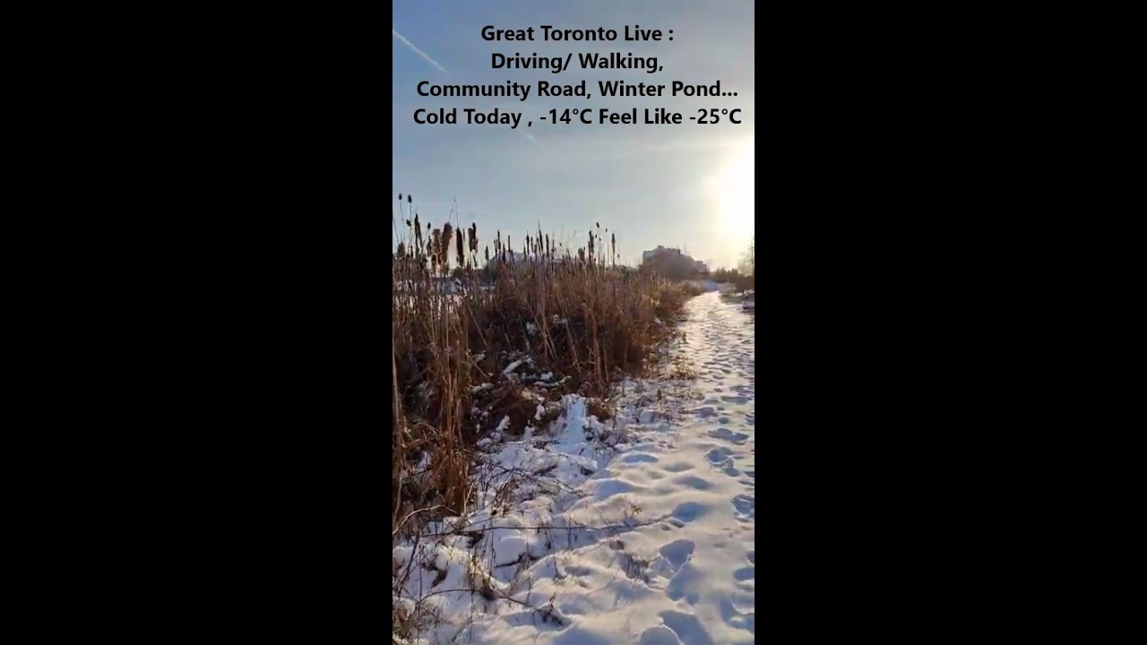 Great Toronto Winter Live 1: Community Road, Pond, -14°C Feel Like -25 ...