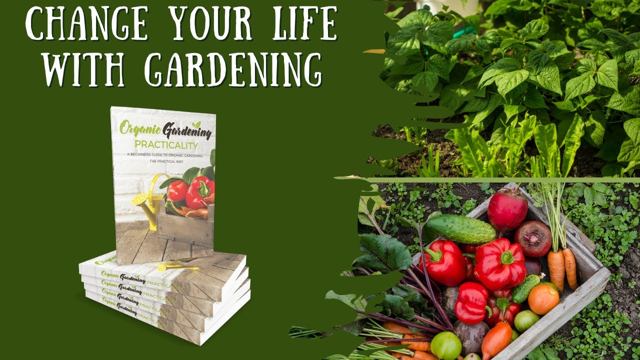 A practical beginner's guide to organic gardening - an analysis of the ...