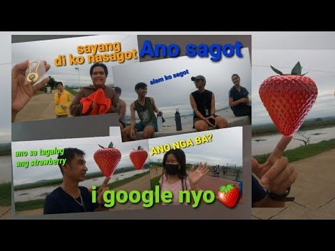 ANO SA TAGALOG ANG STRAWBERRY (part 1) - YouTube