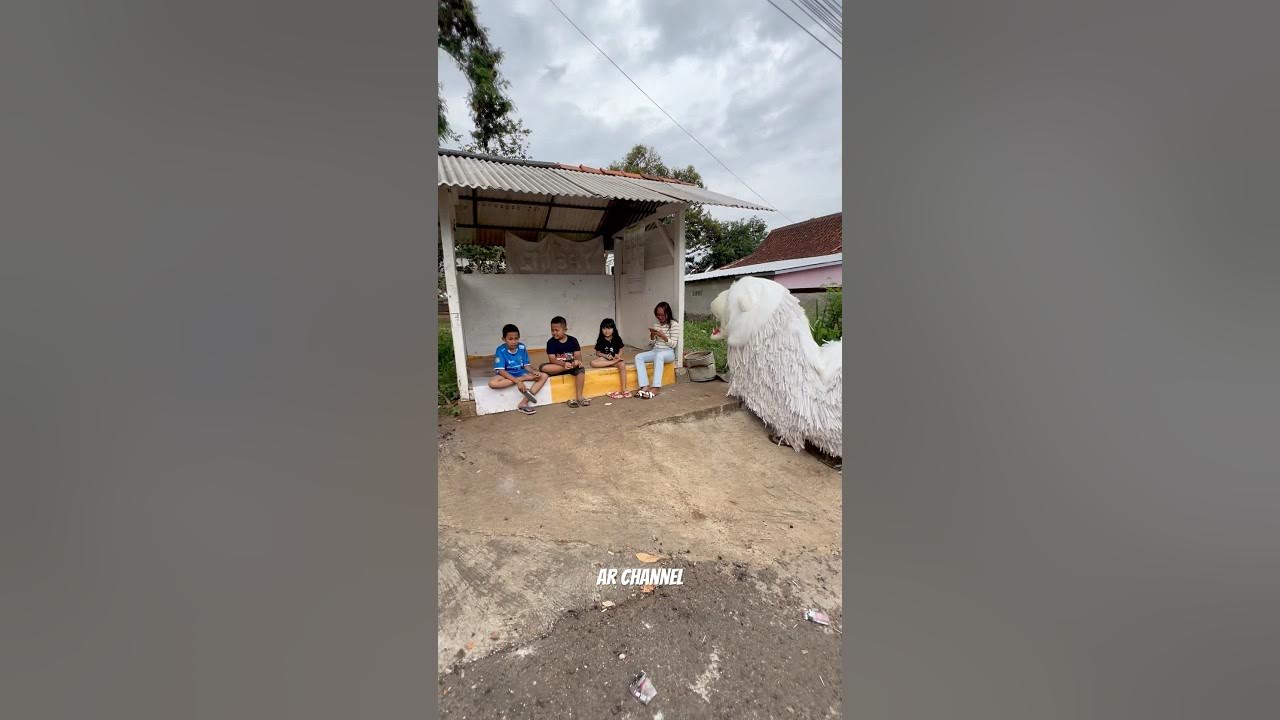 Teh santi mau di gigit can macanan - YouTube