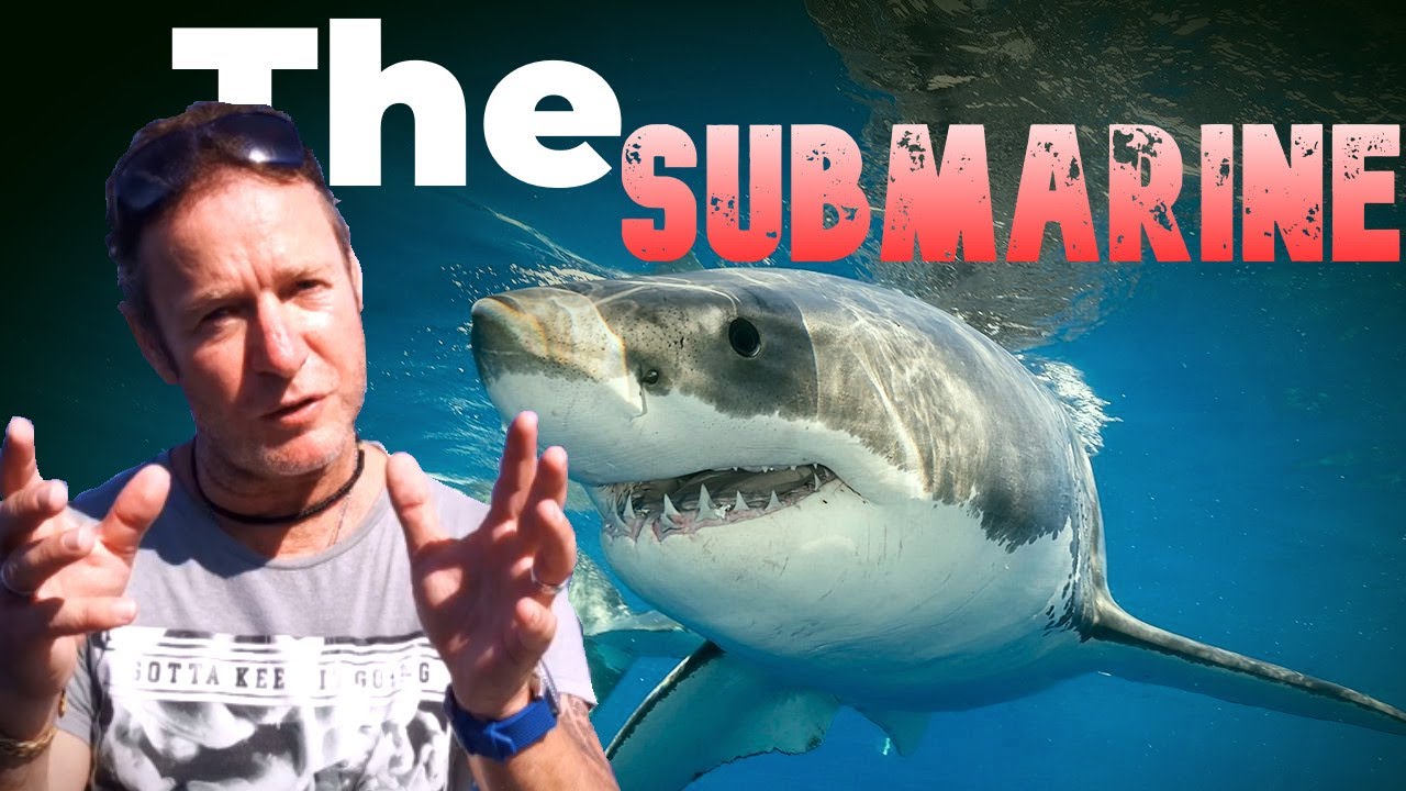 This legendary GREAT WHITE shark is almost 25 FEET! | The Submarine ...