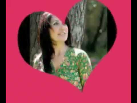 BAHAR ALKAYA KİRAZIN AĞIDI