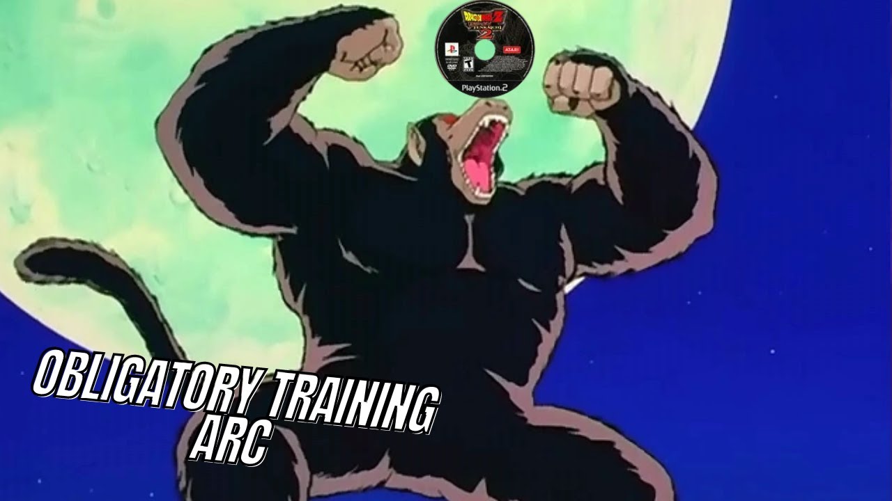 Training to Defeat Nappa and Vegeta in Budokai Tenkaichi 2 - YouTube