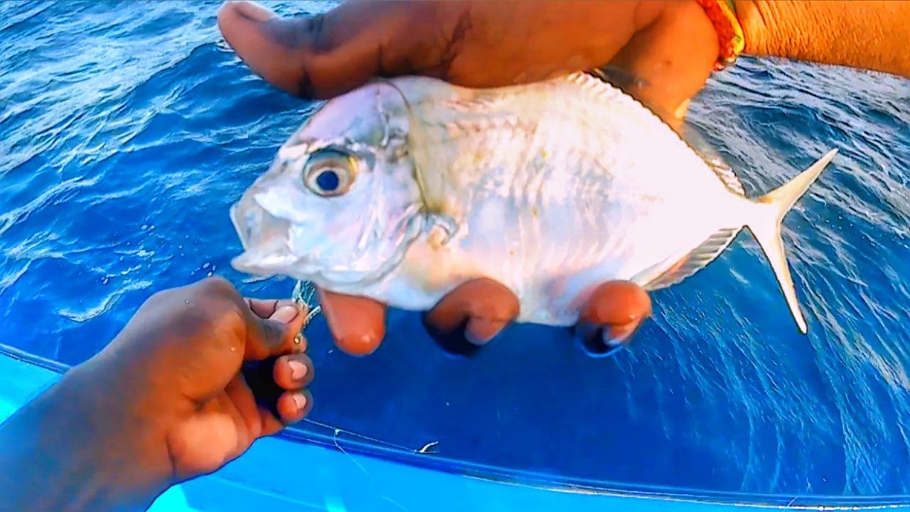 Awesome Traditional Fishing Video! Amazing Fish Hunting! - YouTube