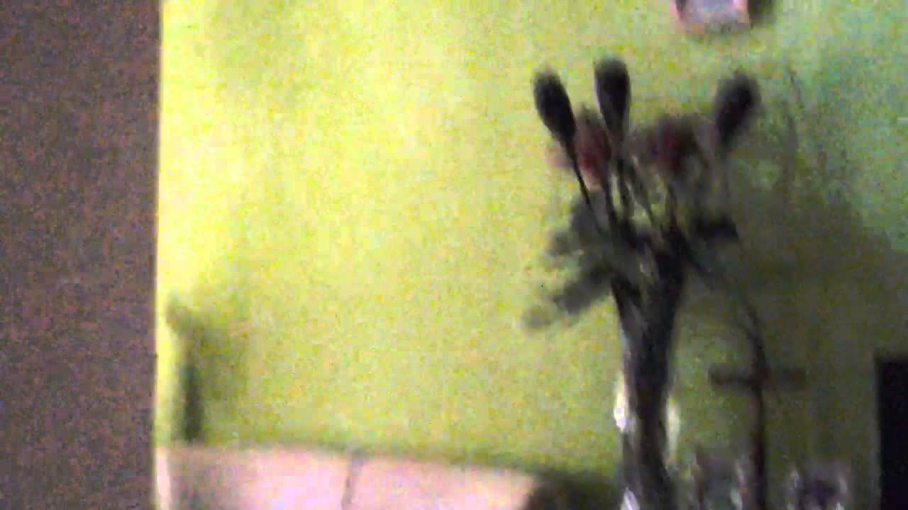 House interview - YouTube