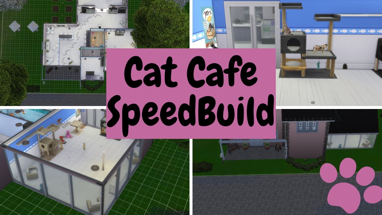 Cat Cafe Speed Build Sims 4 - YouTube