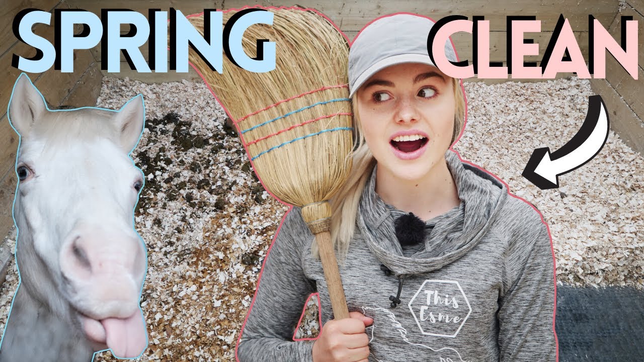 Whole Barn gets a HUGE Spring Clean! *Satisfying* AD | This Esme - YouTube