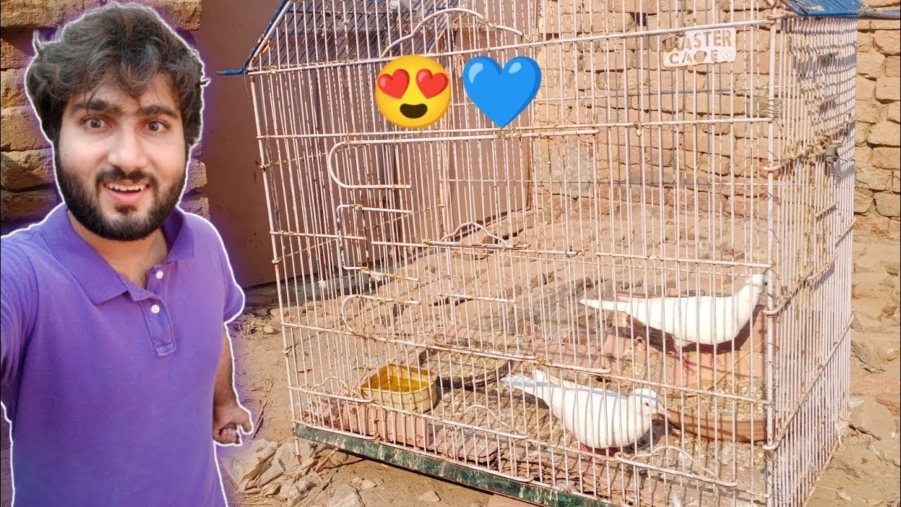 Aaj Khumray Dhoop Mein Boht Khush Huay 😍 - YouTube