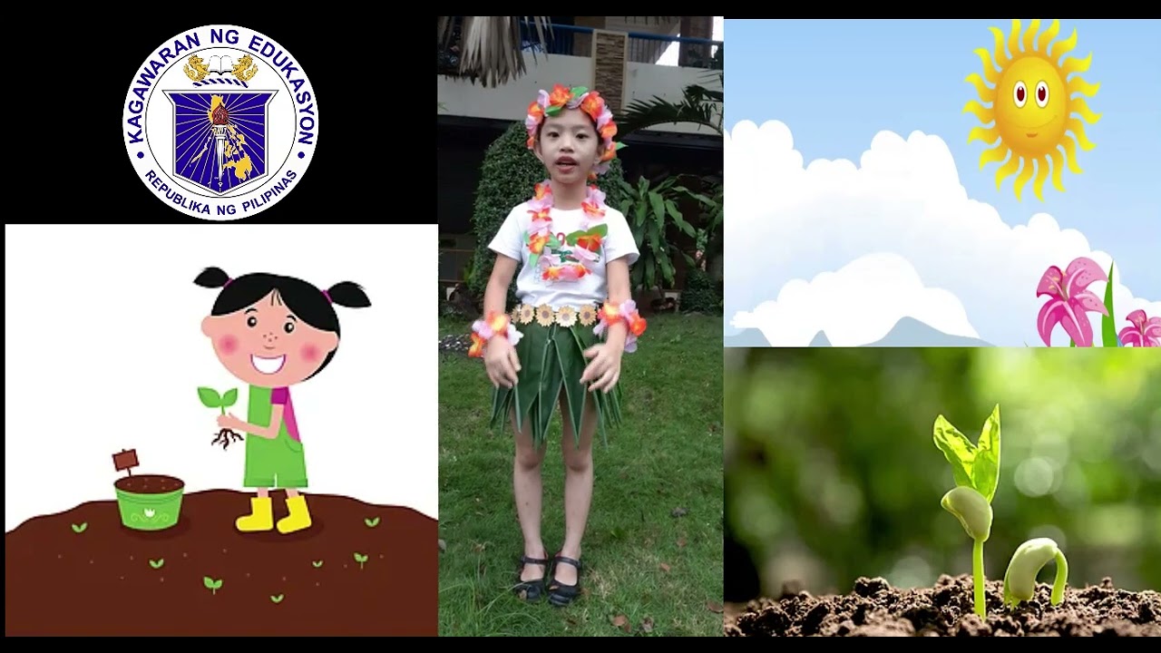 The Little Plant Poem YouTube the-little-plant-poem-youtube
