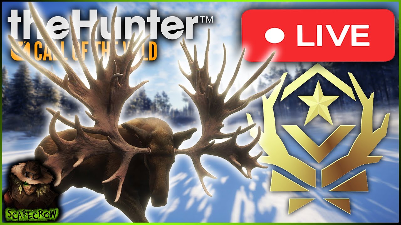 *PUSH FOR 85k* Lets Get A Special Fur Type Great One Moose! 1,300 Males ...