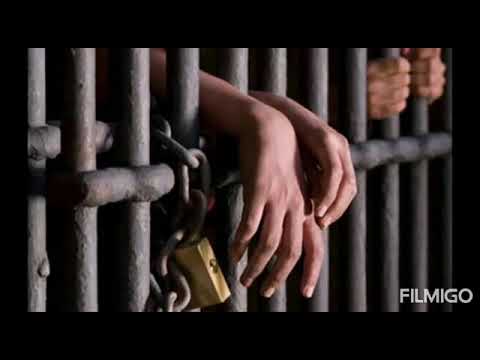 cox super yeyir 2021 Rasim binəli