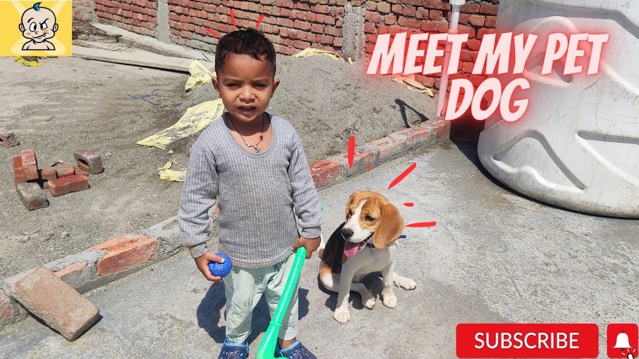 🤣🤣Meet My Dog's First Vlog(Kevin Crazy Reaction) 🤣🤣#village - YouTube