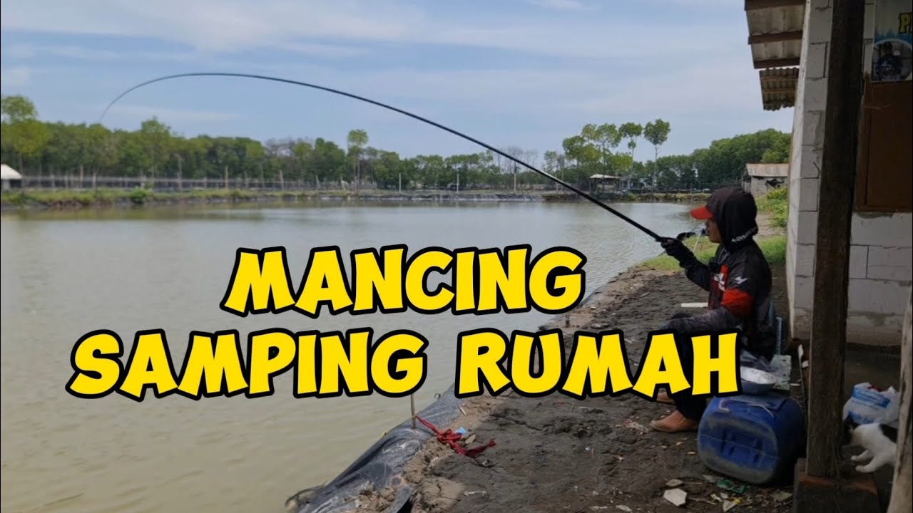 MANCING BANDENG DI EMPANG SAMPING RUMAH - YouTube