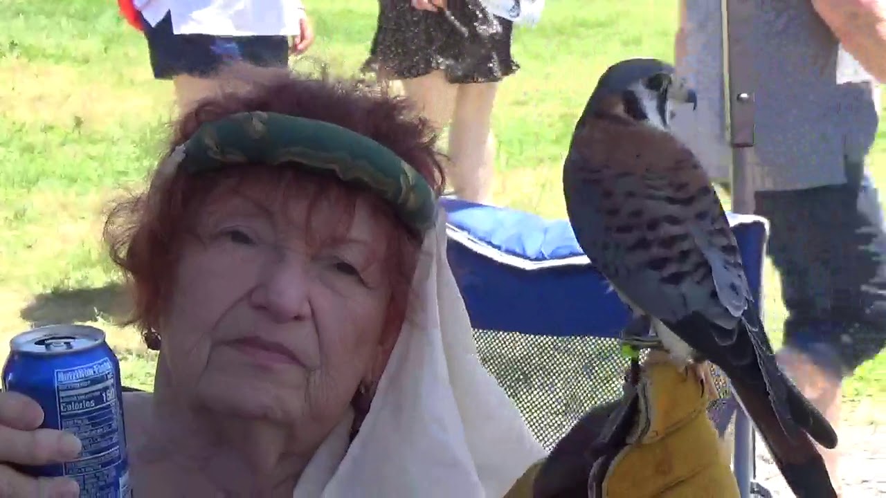 Rescue Birds of Prey at NY Capital District Renaissance Festival - YouTube