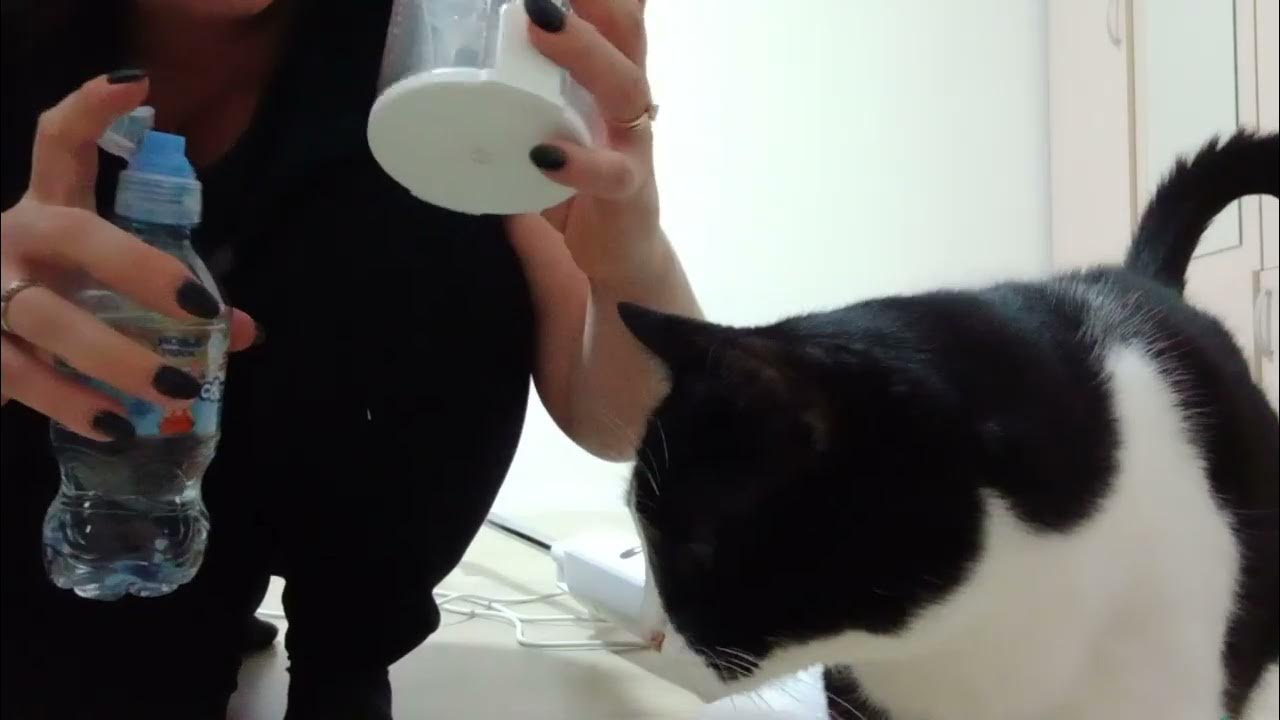 Обзор паровая швабра Kitfort KT-1015.Сборка и эксплуатация.Китфорт ...