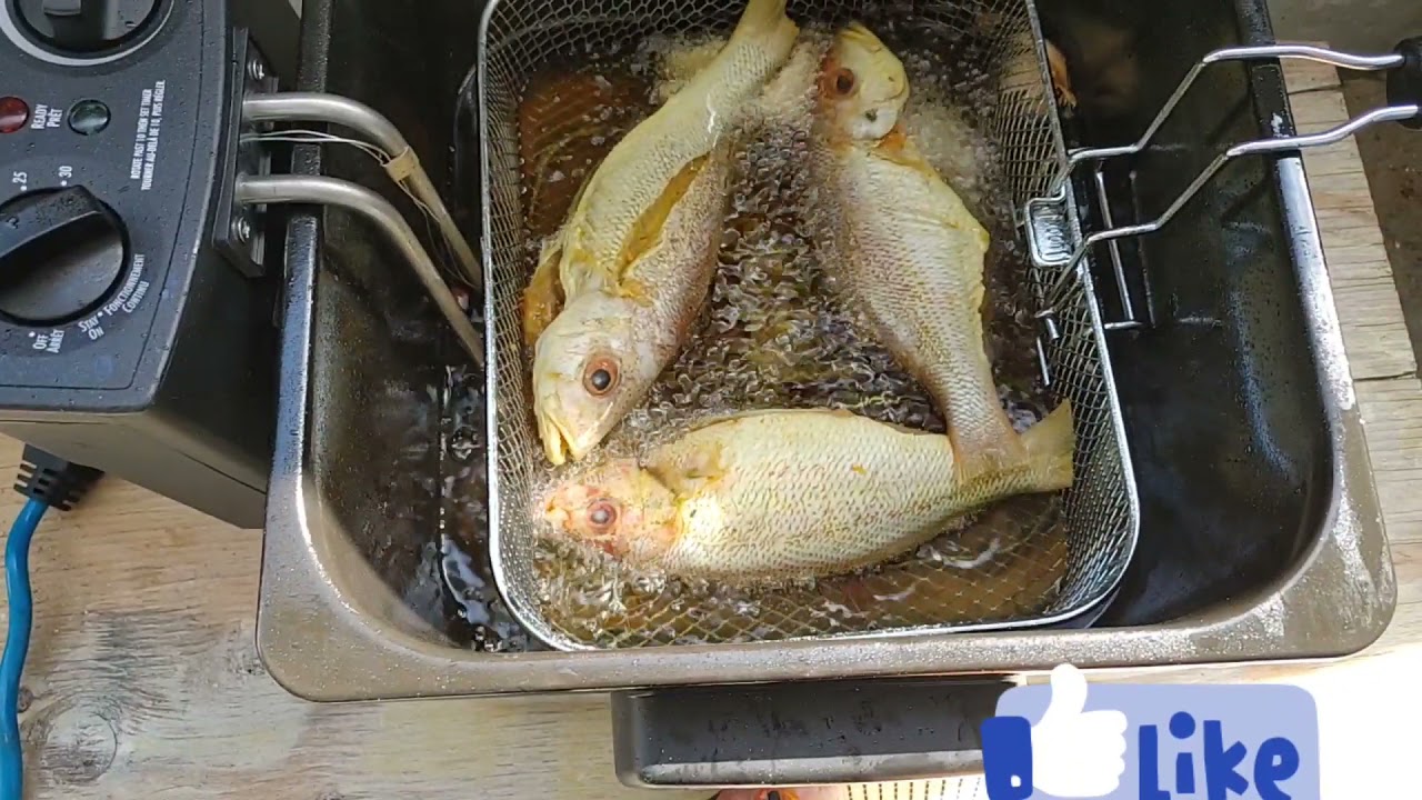 How To Fry Fish Without Flour YouTube how-to-fry-fish-without-flour-youtube