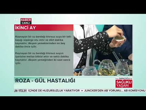 ROZA - GÜL HASTALIĞINA KARŞI SÜPÜRGE TOHUMU KÜRÜNÜ KULLANIN ~ Şifaya vesile Saraçoğlu
